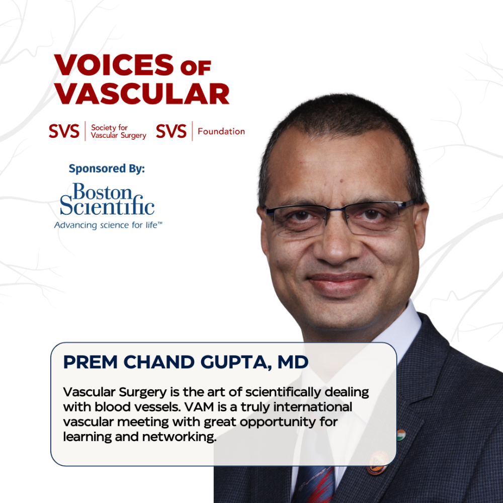 SVS & SVSF Celebrate AAPI Heritage Month | Society for Vascular Surgery
